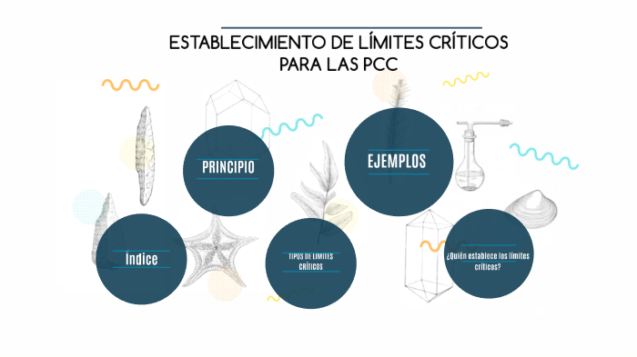 ESTABLECIMIENTO DE LÍMITES CRÍTICOS PARA LAS PCC by Rocio Rodríguez ...