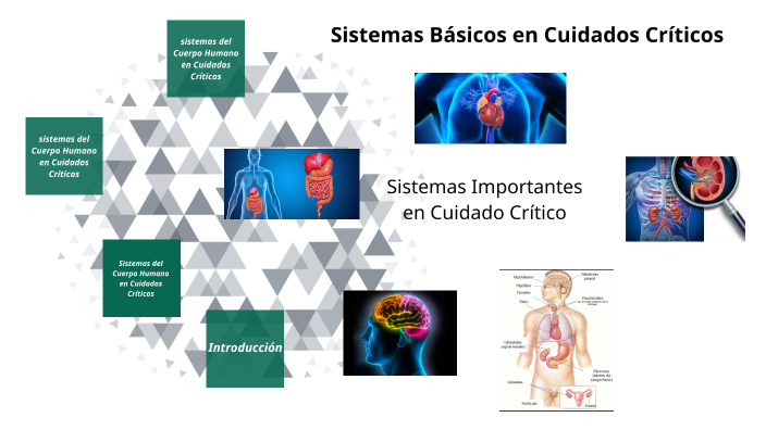 Coceptos Básicos en Cuidado Crítico by Martha Calderón on Prezi