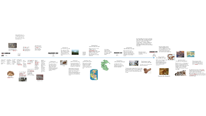 Geological Timeline Project by ashan don on Prezi