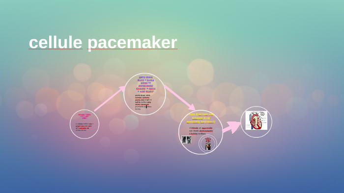 cellule pacemaker by nicole saggion on Prezi