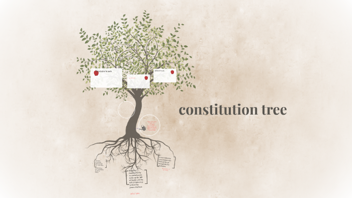 constitution tree by zion miller
