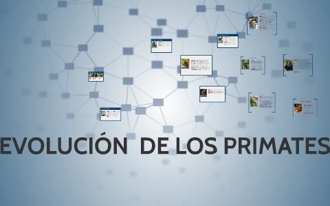 Prosimios modernos by Constanza Salgado Orellana on Prezi