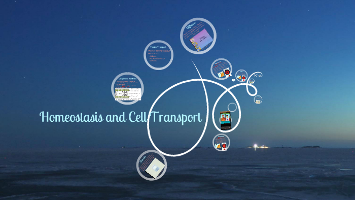Homeostasis and Transport by Keystone Biology on Prezi