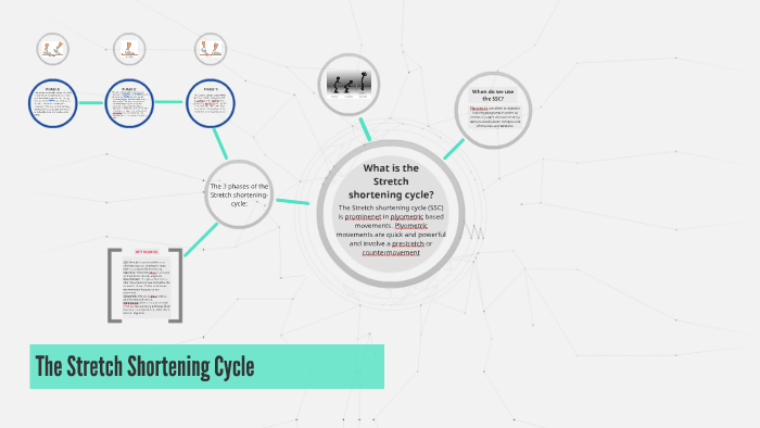 The Stretch Shortening Cycle by Charlotte Smart on Prezi