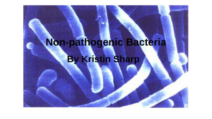 Non-pathogenic Bacteria by Kristin Sharp on Prezi