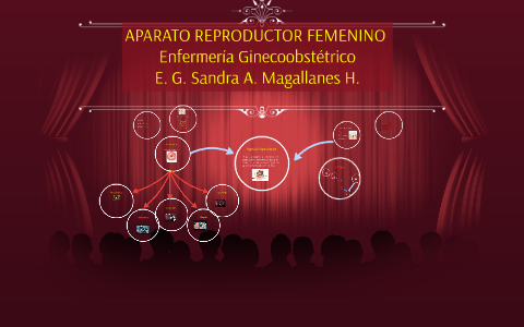 aparato reproductor femenino by sandra magallanes on Prezi
