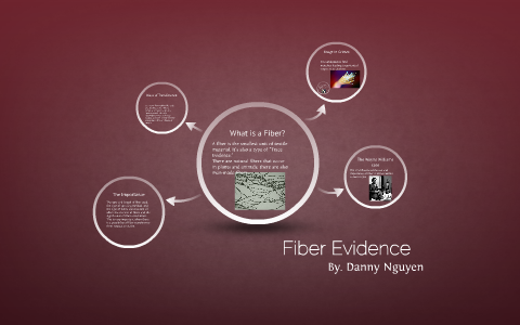 Fiber Evidence by Danny N on Prezi