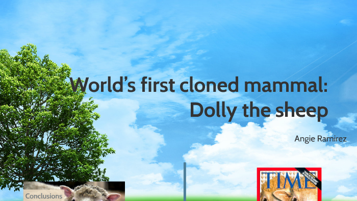 World's first cloned mammal: Dolly the sheep by on Prezi