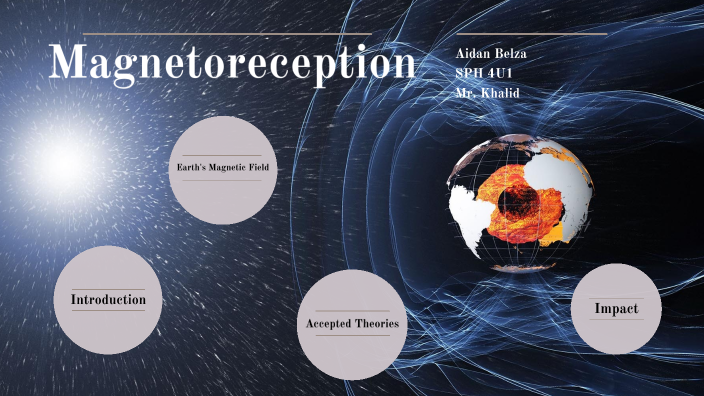 Magnetoreception in animals and humans by Aidan Belza on Prezi
