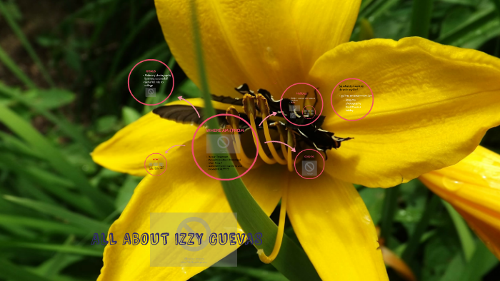 ALL ABOUT IZZY CUEVAS by isabella cuevas on Prezi