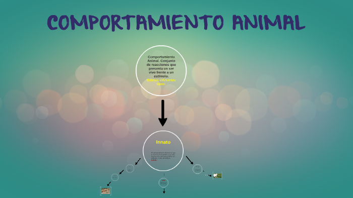 COMPORTAMIENTOS EN ANIMALES by Fede Goznalez on Prezi