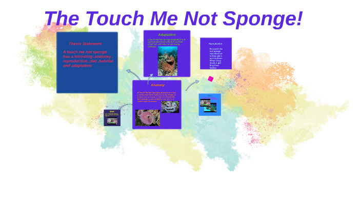 Touch Me Not Sponge by Alyssa Austin by Erin Lichtenstein on Prezi