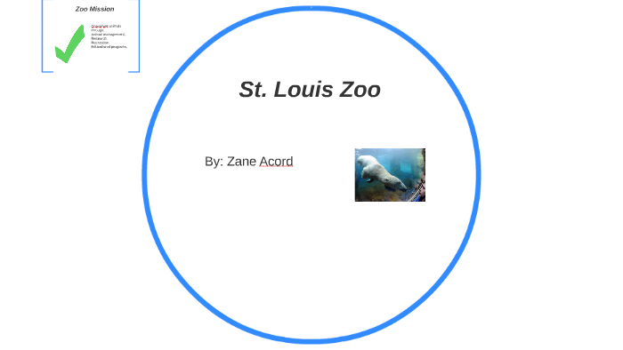 St. Louis Zoo by zane acord on Prezi