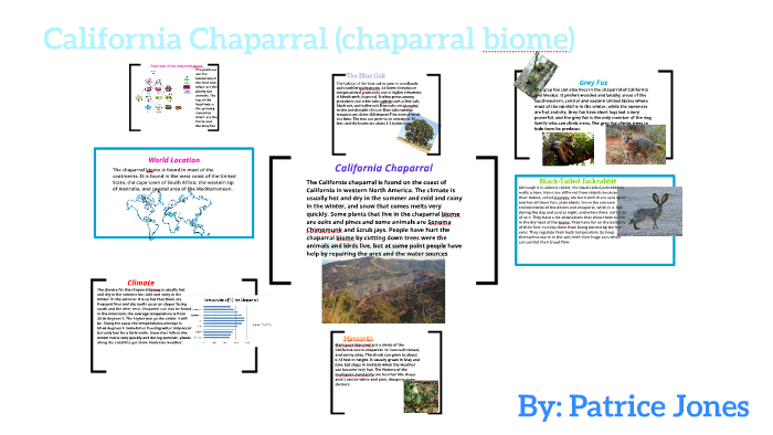 The Chaparral Biome Facts Pictures Indepth Information