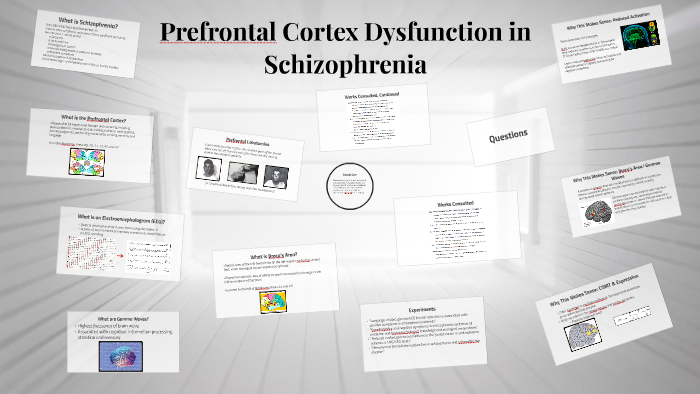 Prefrontal Cortex Dysfunction in Schizophrenia by Paige Adams on Prezi