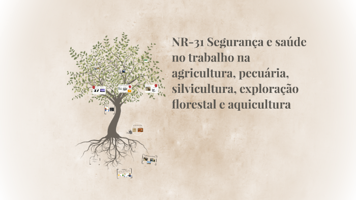 NR-31 Segurança e saúde no trabalho na agricultura, pecuária by Andreia ...