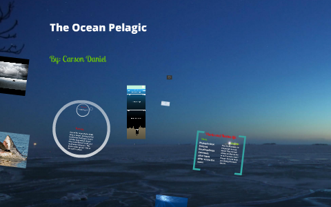 The Ocean Pelagic Zone by brian o'connor on Prezi