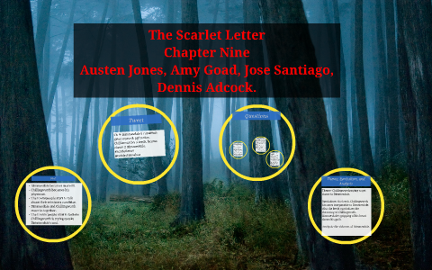 The Scarlet Letter by Amy Goad