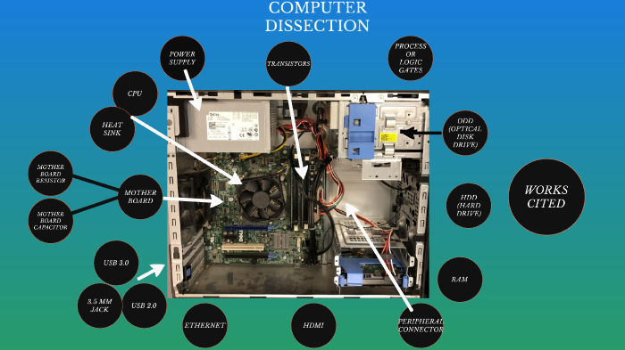 Computer Dissection by Lara Akyuz on Prezi