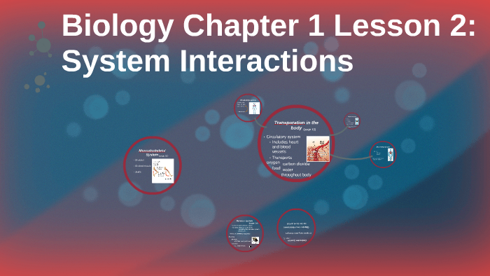 Biology Chapter 1 Lesson 2: System Interactions by Alexander Hsieh on Prezi