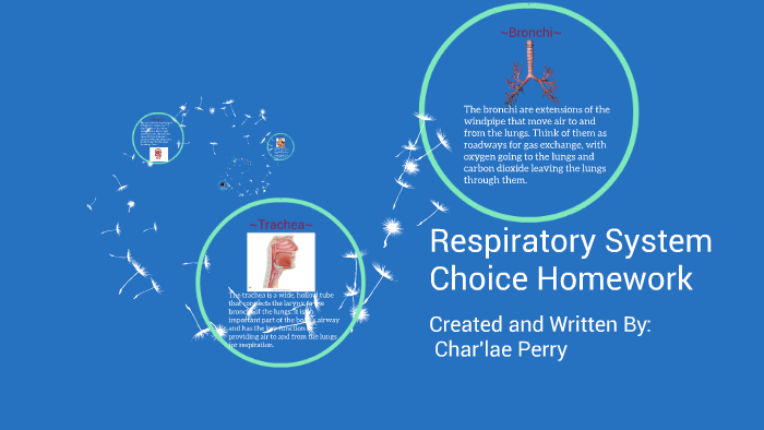 Respiratory System Choice Homework by Charlae Perry on Prezi
