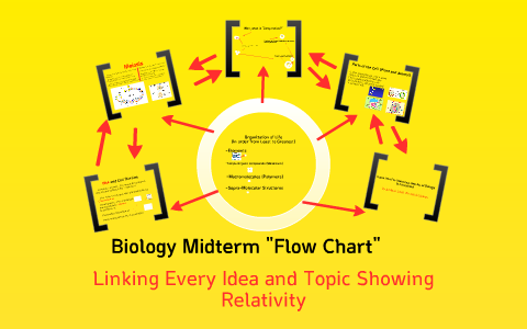 Biology Midterm: Flow Chart with the Linking of All Ideas We Worked ...