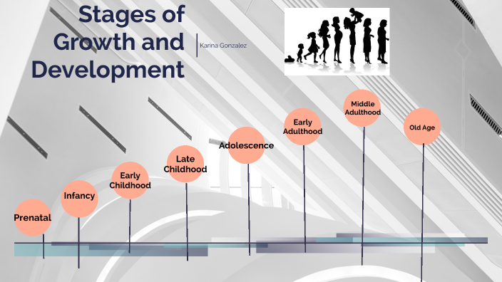 Stages Of Growth and development by Karina Gonzalez on Prezi