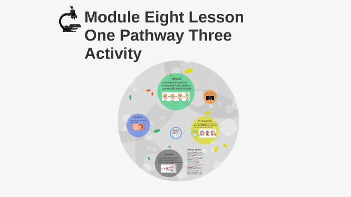 Module Eight Lesson One Pathway Three Activity by Grace Guevarra on Prezi
