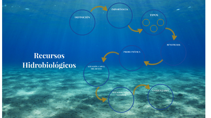 Recursos Hidrobiológicos by Jannireth Guerrero on Prezi