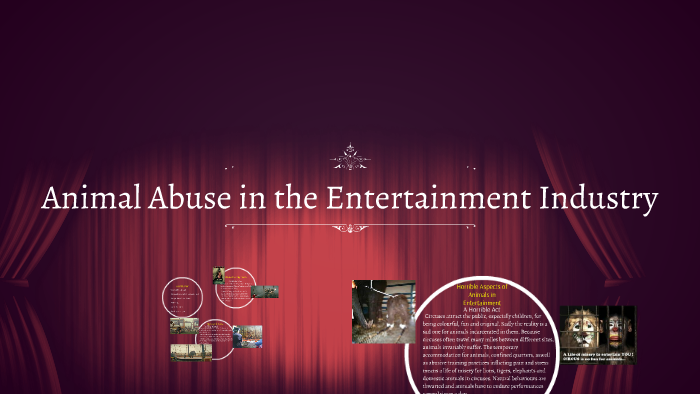 Animal Abuse in the Entertainment Industry by Nikita Hall on Prezi