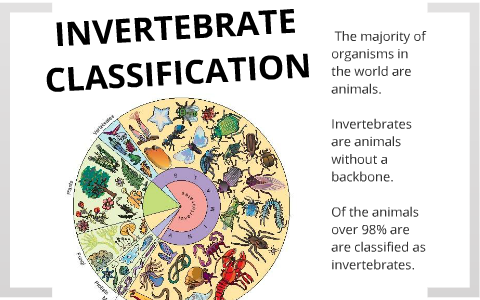 Invertebrate Classification by Julia Benson on Prezi