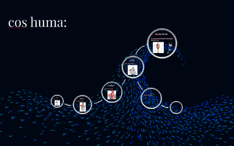 muscles del cos: by adri serra melendez on Prezi