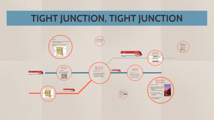 TIGHT JUNCTION, TIGHT JUNCTION by rene loeb on Prezi