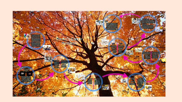 Rachel's Career Research by Rachel Erb on Prezi