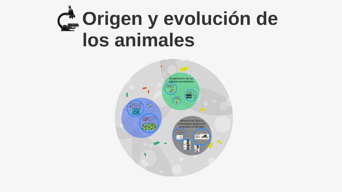 Origen y evolución de los animales by Angel Martinez on Prezi