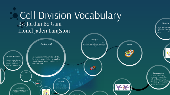 Cell Division Vocabulary by Jordan Gani on Prezi