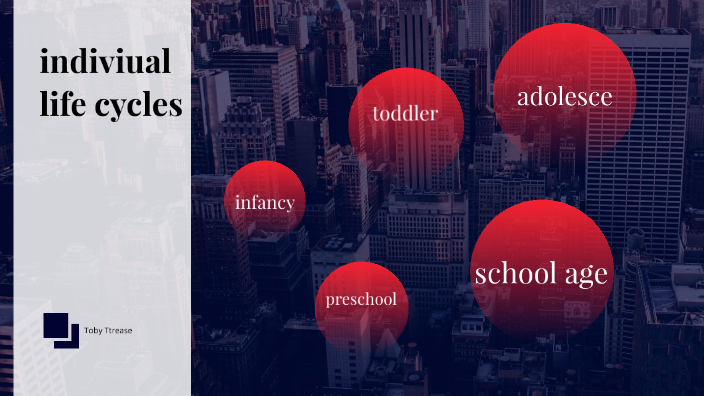 individual life cycle by TOBY TREASE on Prezi