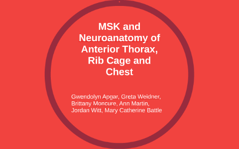 MSK and Neuroanatomy of Anterior Thorax, Rib Cage and Chest by ...