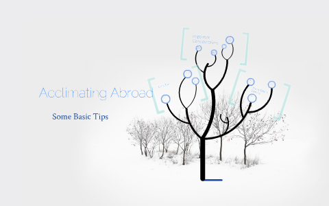 Cultural Acclimation by Matthew Portnoy on Prezi