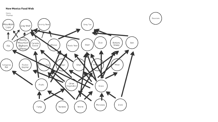 New Mexico Food Web by Harry Thomas on Prezi