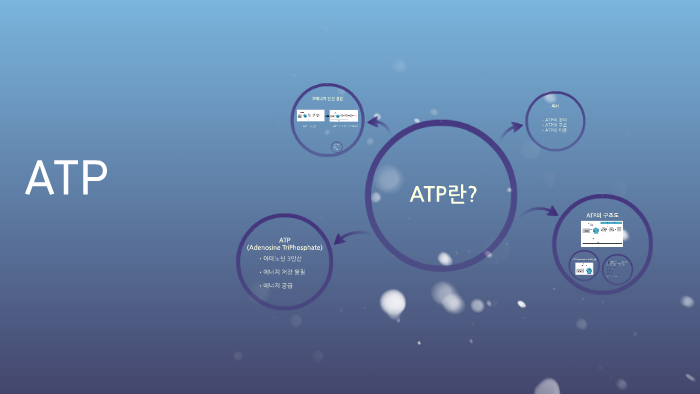 ATP란? by 박 유영 on Prezi