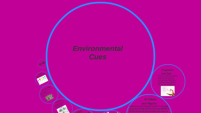 Environmental Cues by Destiny Cardenas on Prezi