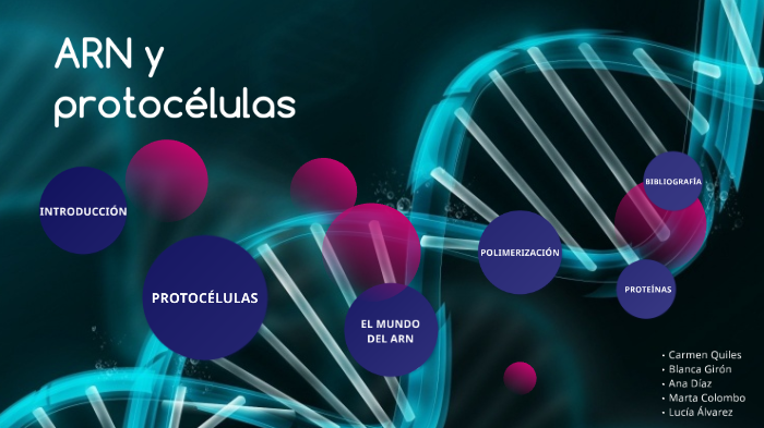 ARN Y Protocélulas by las reinas de la cultura on Prezi