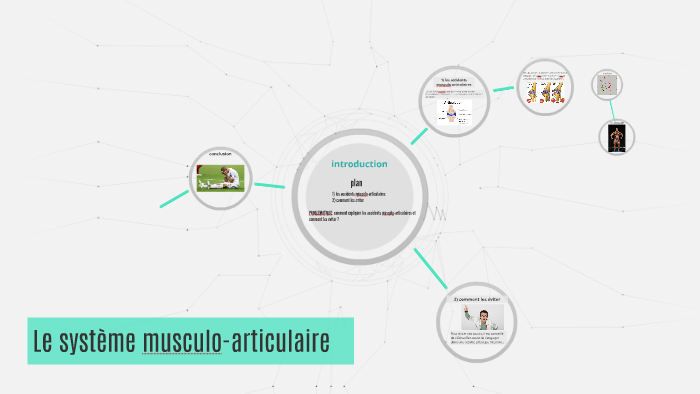 Le système musculo-articulaire by loïs Ll on Prezi