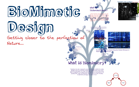 Bio-mimetic Design: Bringing Design Closer to the Perfection of Nature ...