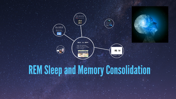 REM Sleep and Memory Consolidation by McKenzie Gallagher on Prezi