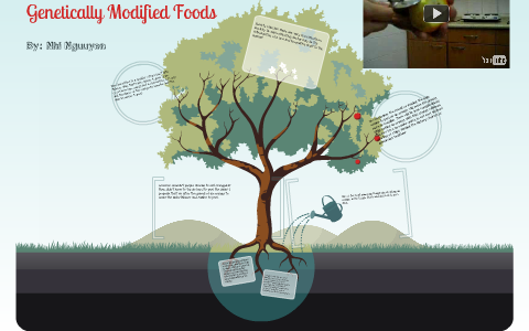 Genetically Modified Oranges by Nhi Nguyen on Prezi