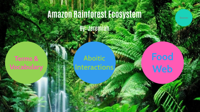 Amazon Rainforest Ecosystem by Jeremiah Mathew on Prezi