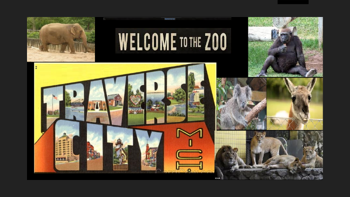 Traverse City Zoo by Rusty Haynes on Prezi