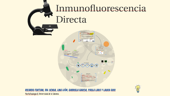 inmunofluoresencia directa by ricardo gonzalez on Prezi